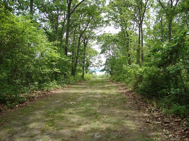 10 Best Hiking Trails on Long Island | offMetro NY