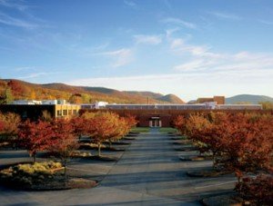 New Yorkers Talk Their Favorite Winter Activities - offMetro NY