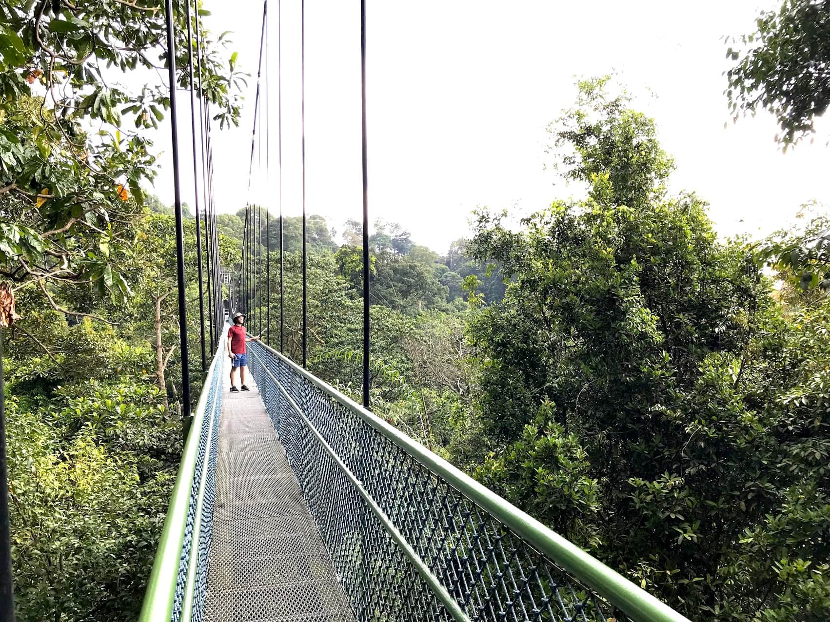 5 Things You Have to Do When You’re in Singapore | offMetro World